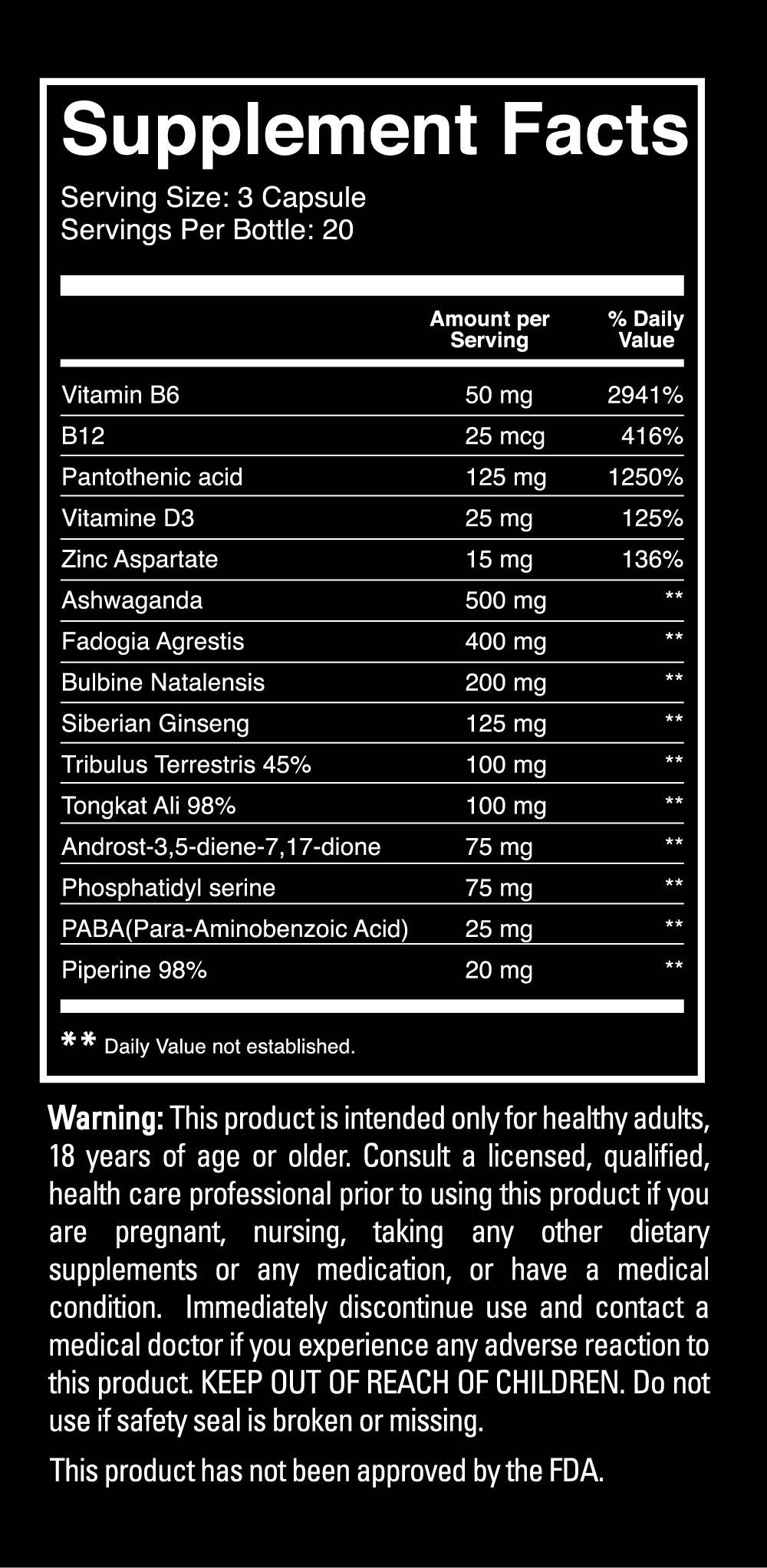 Realign – Modern Warrior